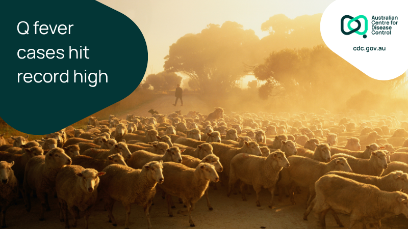 Q fever cases hit record high | Australian Centre for Disease Control