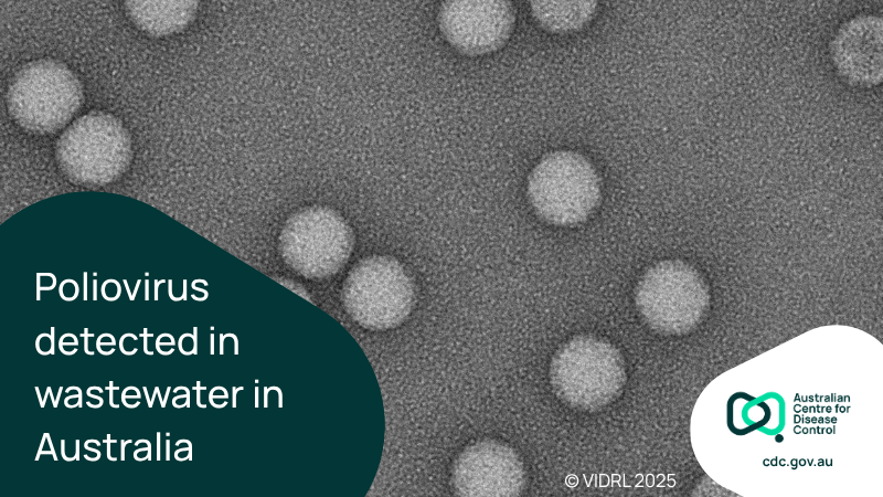 Surveillance that works – finding poliovirus before it finds us ...